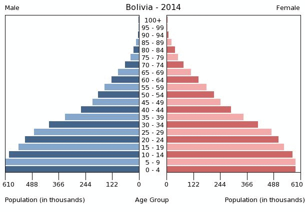 Bolivia Age structure - Demographics