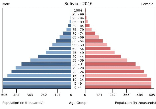 Bolivia Age structure - Demographics