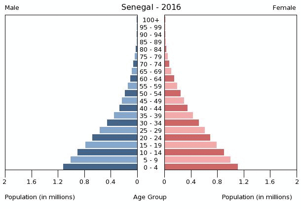 Senegal Age structure - Demographics